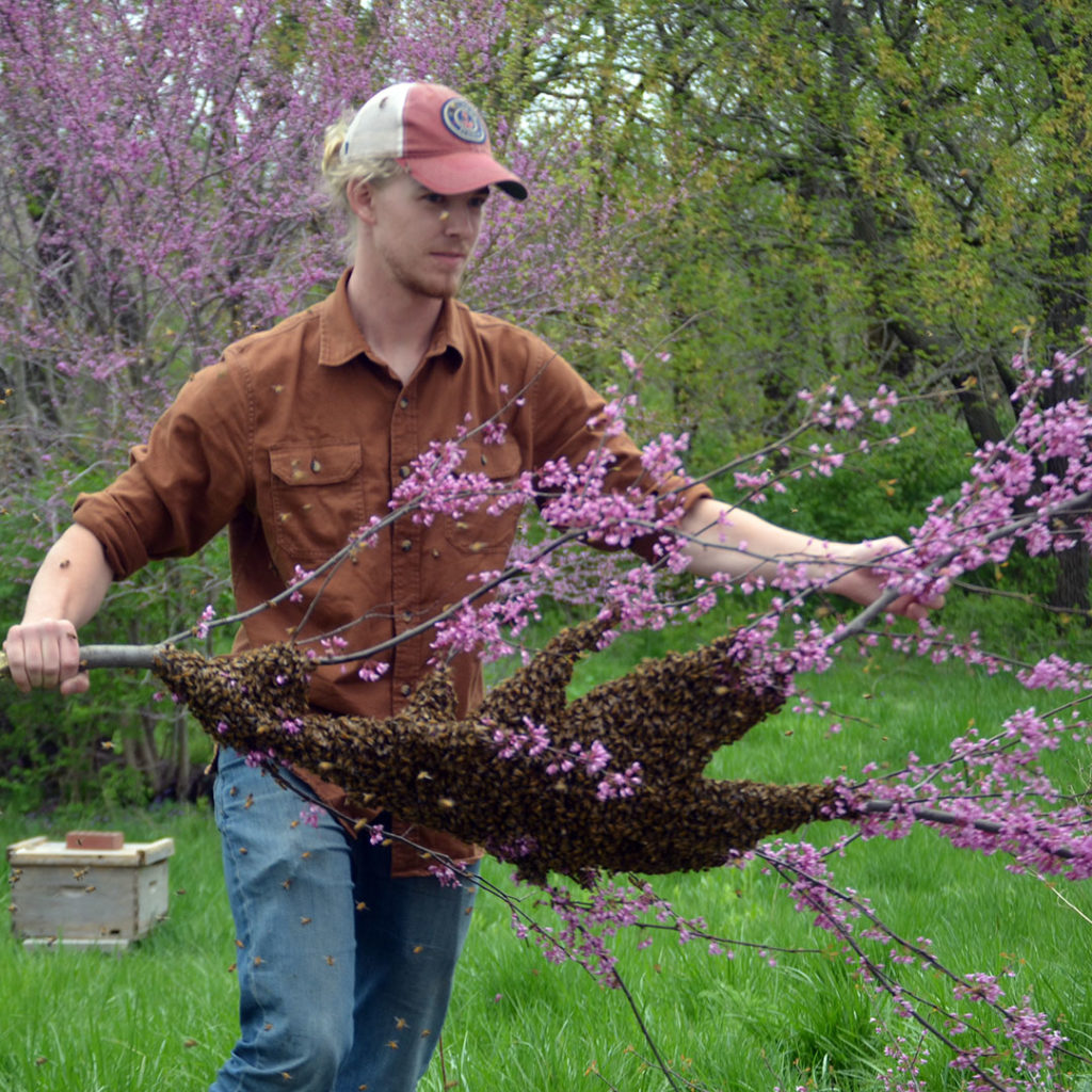 Blackburn Bee Program Shares New Observation Hive - Blackburn College